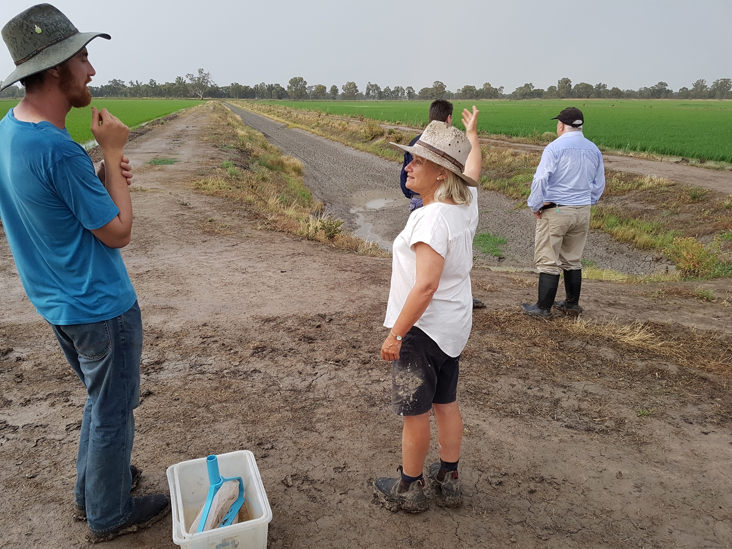 Farmers pivotal for biodiversity conservation on agricultural lands ...